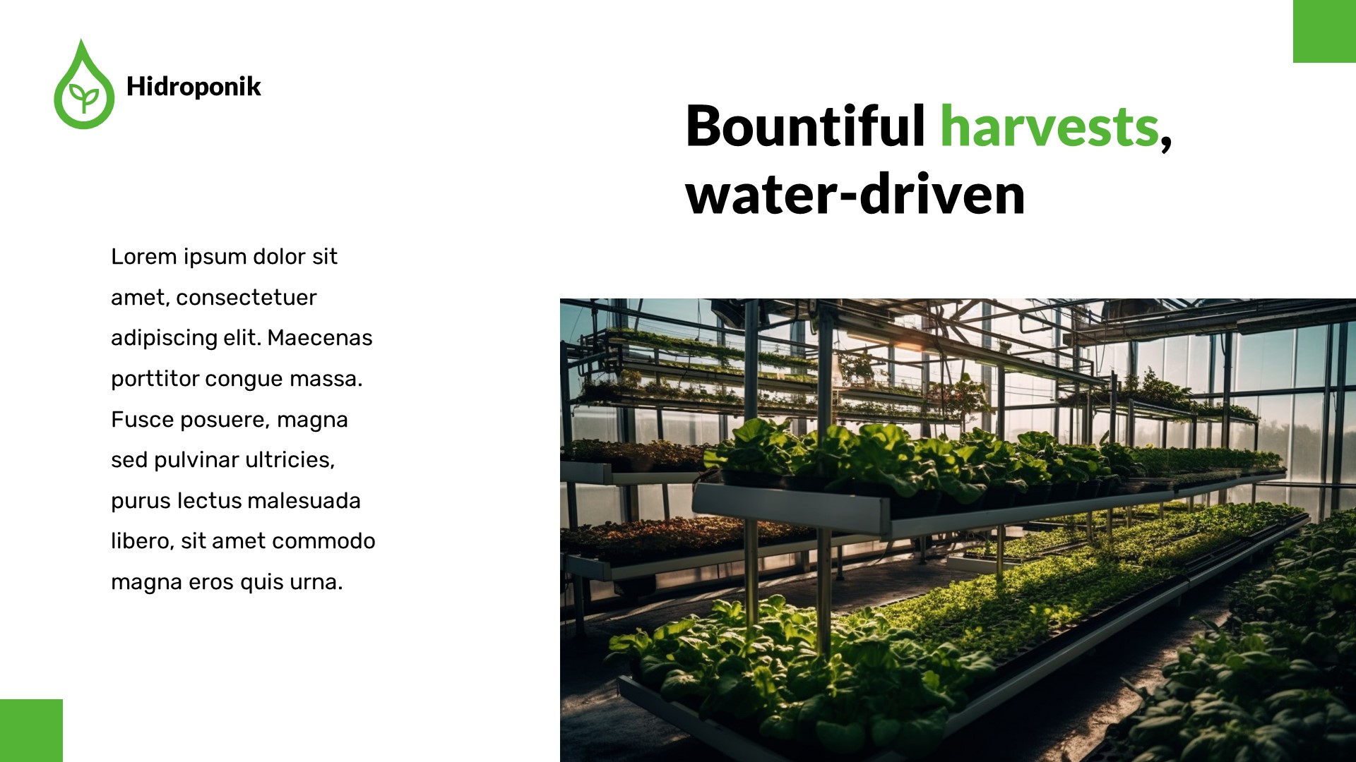 Hidroponic - Hydroponics Agriculture Powerpoint Template, Presentation ...