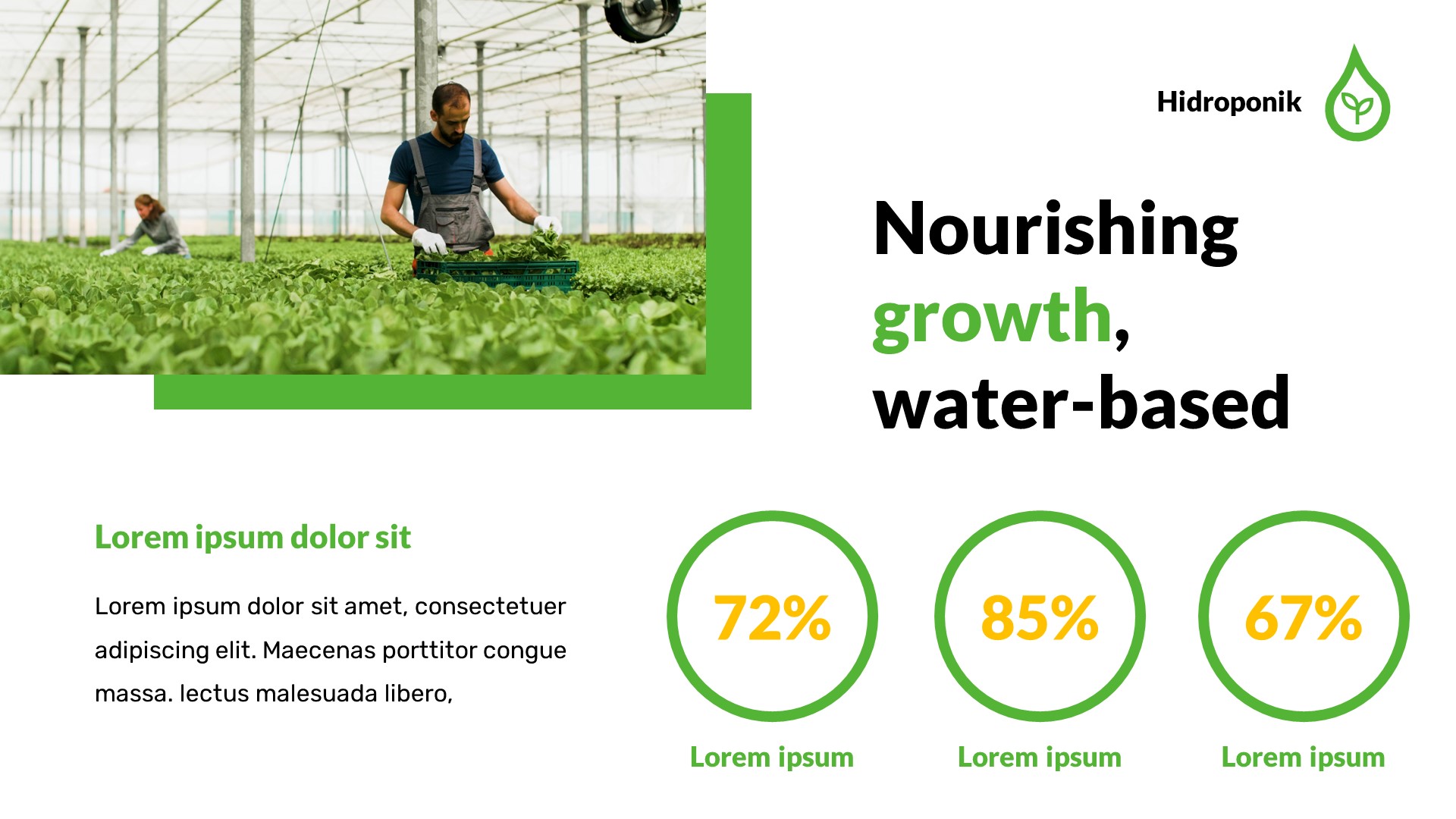 Hidroponic - Hydroponics Agriculture Powerpoint Template, Presentation ...