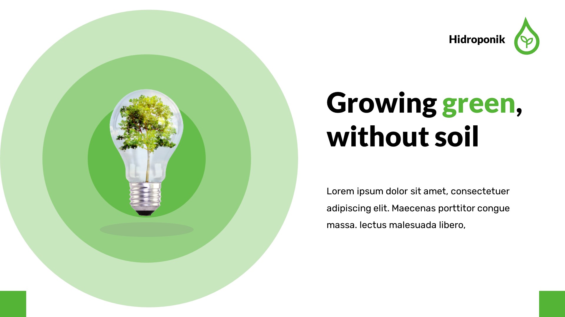 Hidroponic - Hydroponics Agriculture Powerpoint Template, Presentation ...