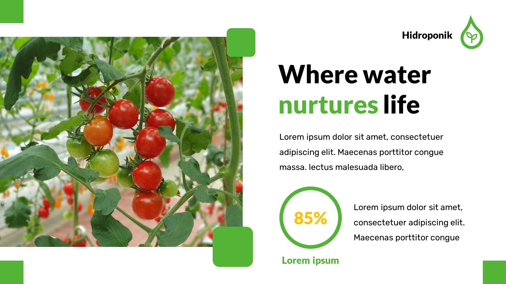 Hidroponic - Hydroponics Agriculture Powerpoint Template, Presentation ...