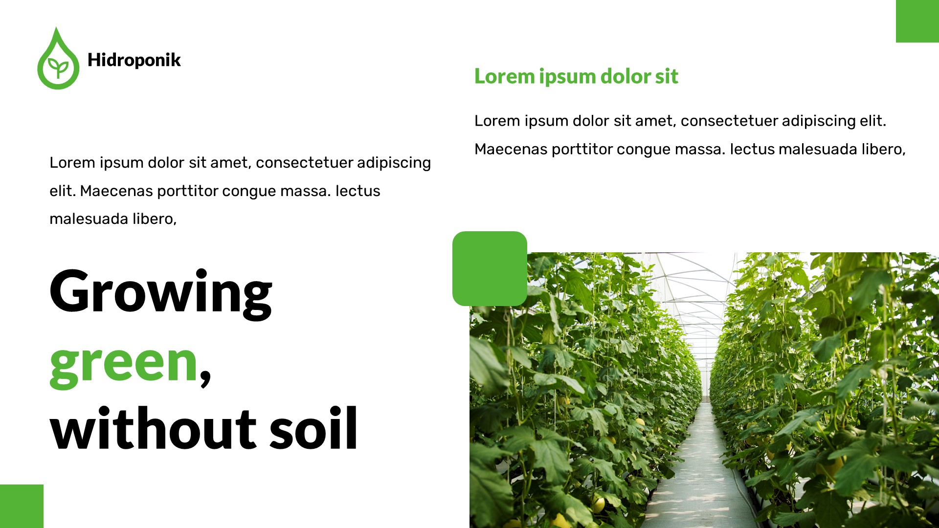 Hidroponic - Hydroponics Agriculture Powerpoint Template, Presentation ...
