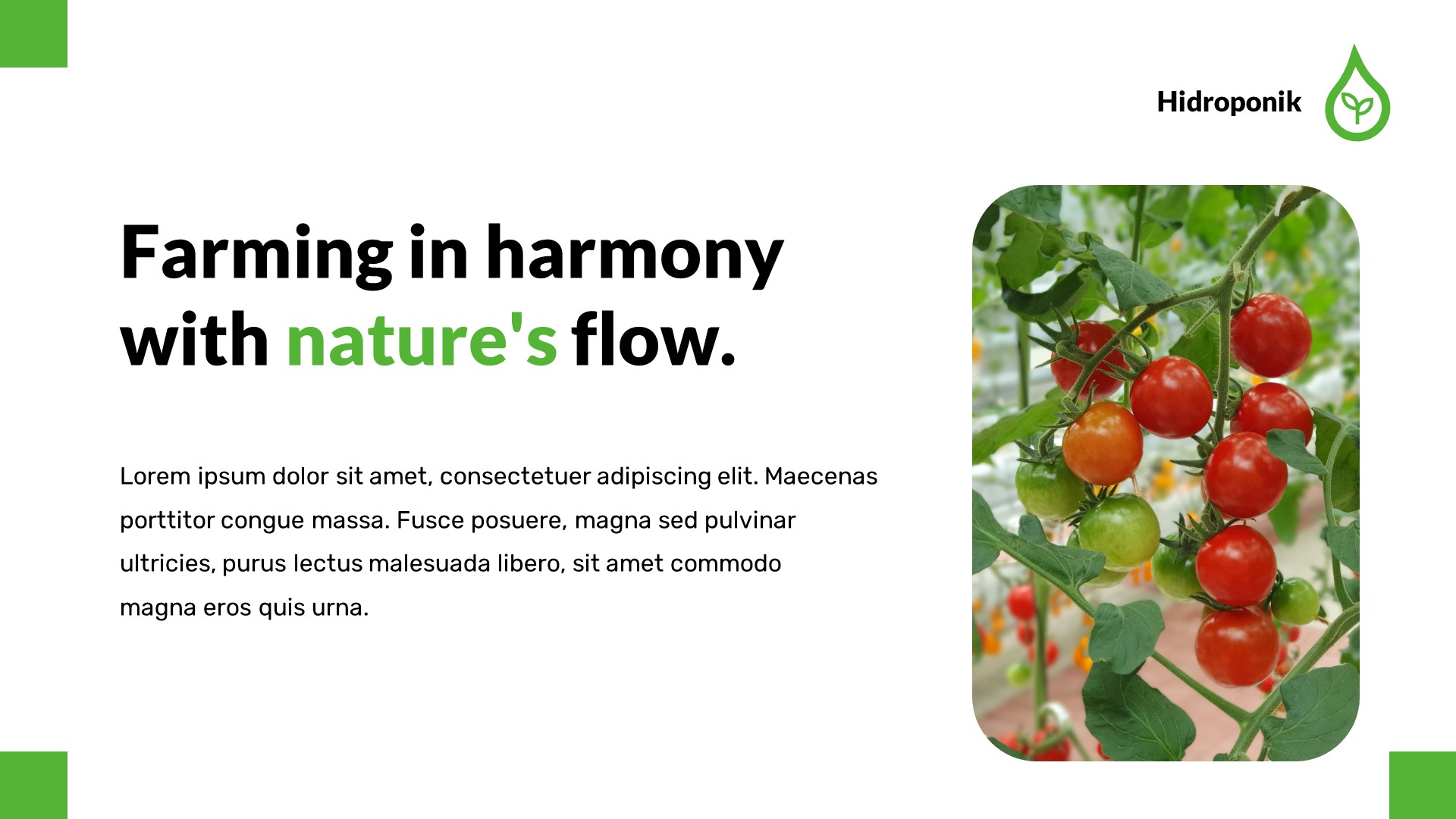 Hidroponic - Hydroponics Agriculture Keynote Template, Presentation ...