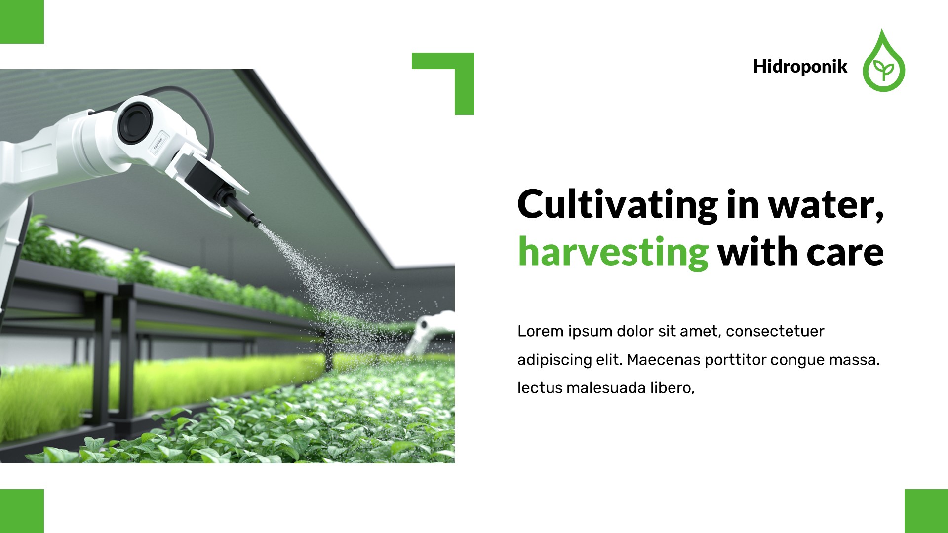 Hidroponic - Hydroponics Agriculture Keynote Template, Presentation ...