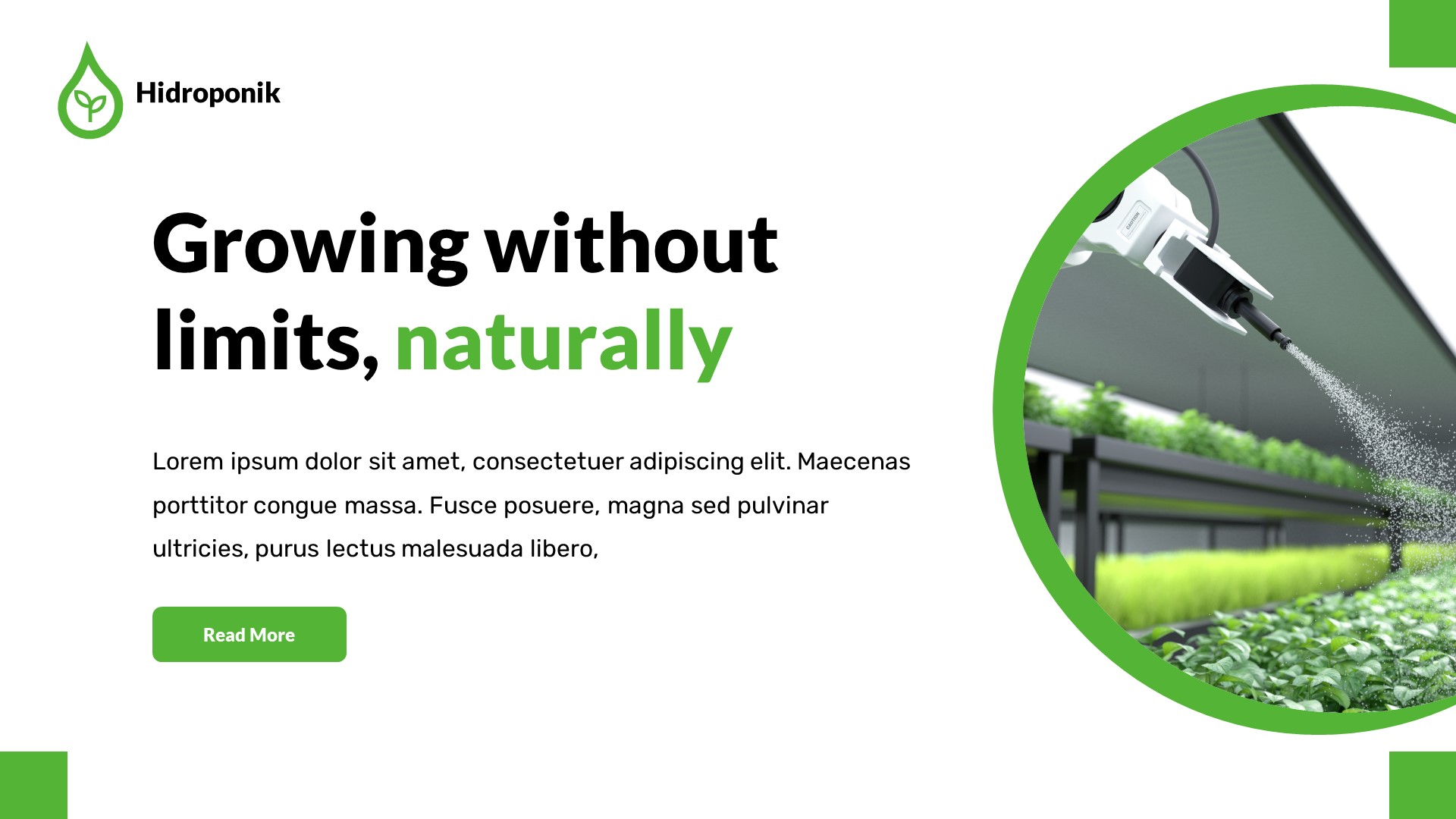 Hidroponic - Hydroponics Agriculture Keynote Template, Presentation ...