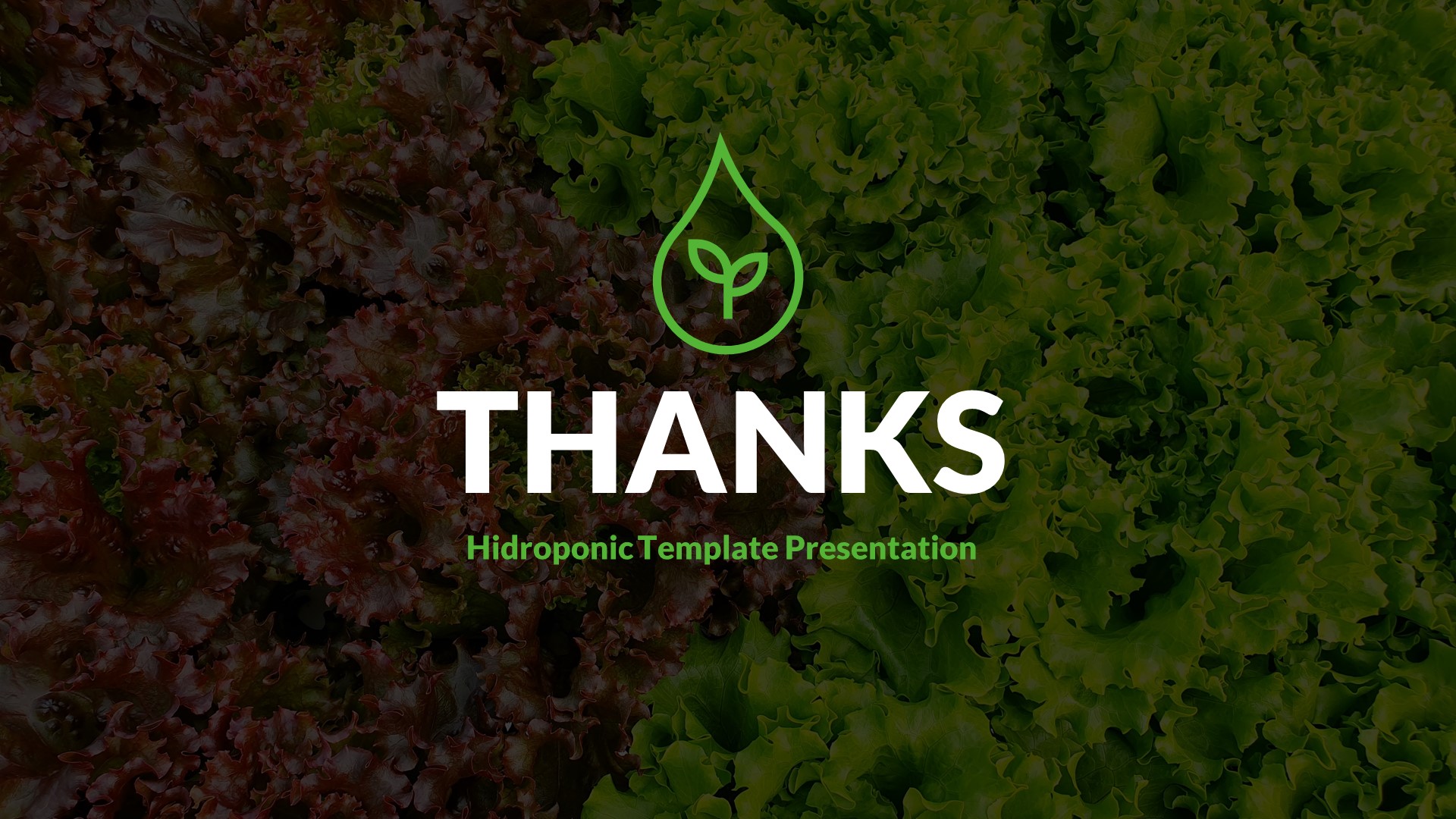 Hidroponic - Hydroponics Agriculture Keynote Template, Presentation ...