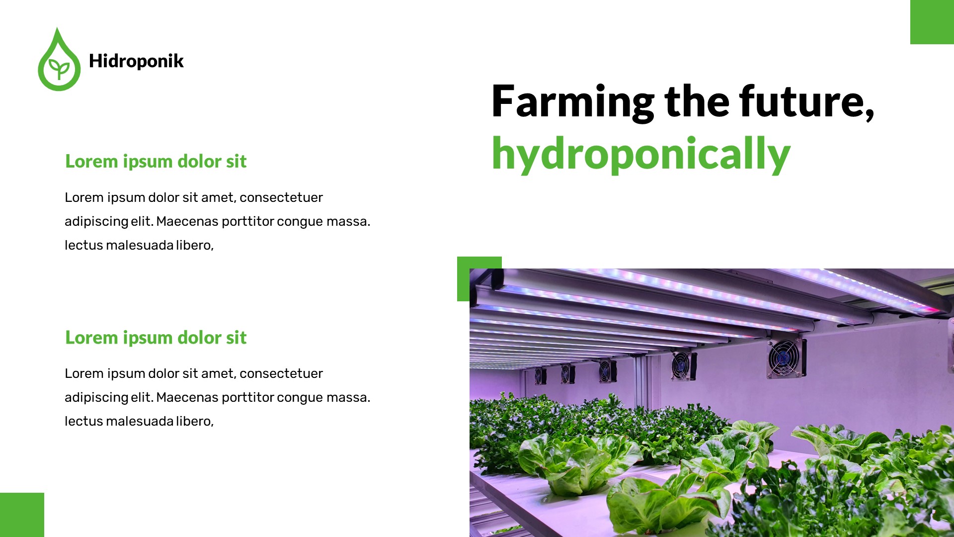 Hidroponic - Hydroponics Agriculture Keynote Template, Presentation ...
