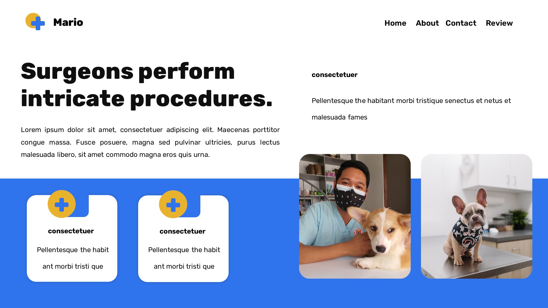 Mario - Medical Health Keynote Template, Presentation Templates ...
