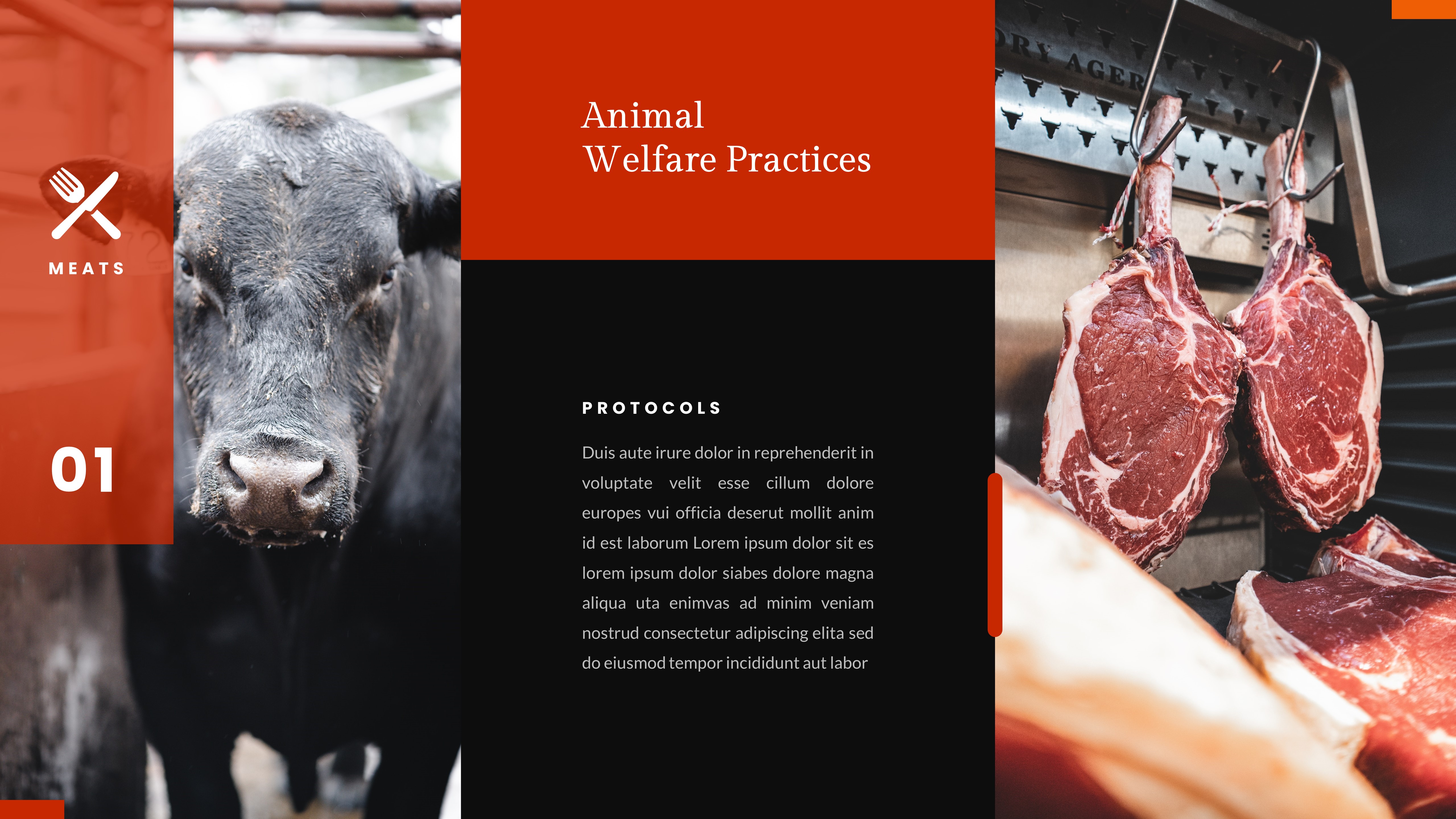 Gristmeat – Creative Business Powerpoint Template, Presentation Templates