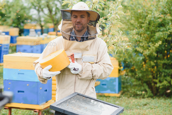 Beekeeping, beekeeper at work, bees in flight. Stock Photo by sedrik2007