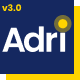 Adri - Business and Consulting WordPress Theme by ajdethemes | ThemeForest