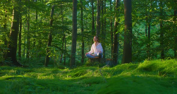 Unity with Nature, Stock Footage | VideoHive