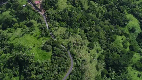 Slow aerial panning up from windy mountain road in highland forest ...