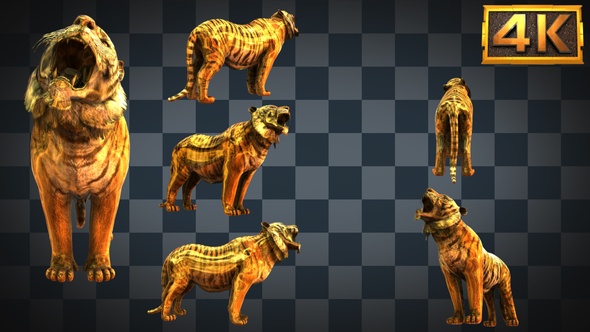 [6 In 1]4k Golden Tiger Howl, Motion Graphics | VideoHive