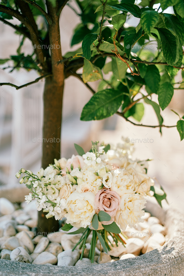 Bride bouquet stands on pebbles under a green tree in a flowerpot Stock ...