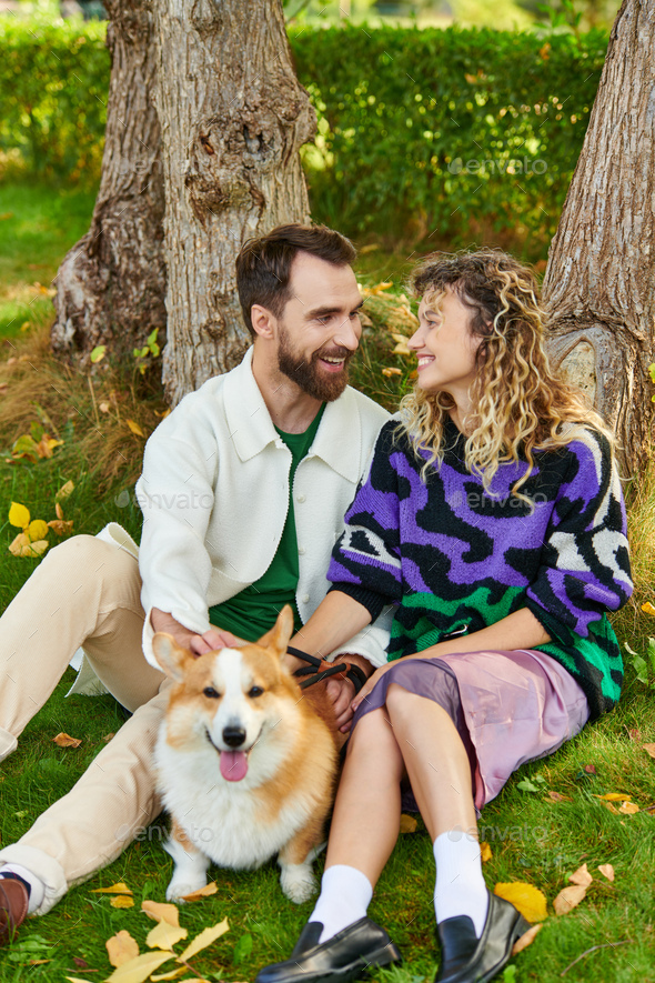 cheerful man hugging curly woman in cute outfit while cuddling corgi ...