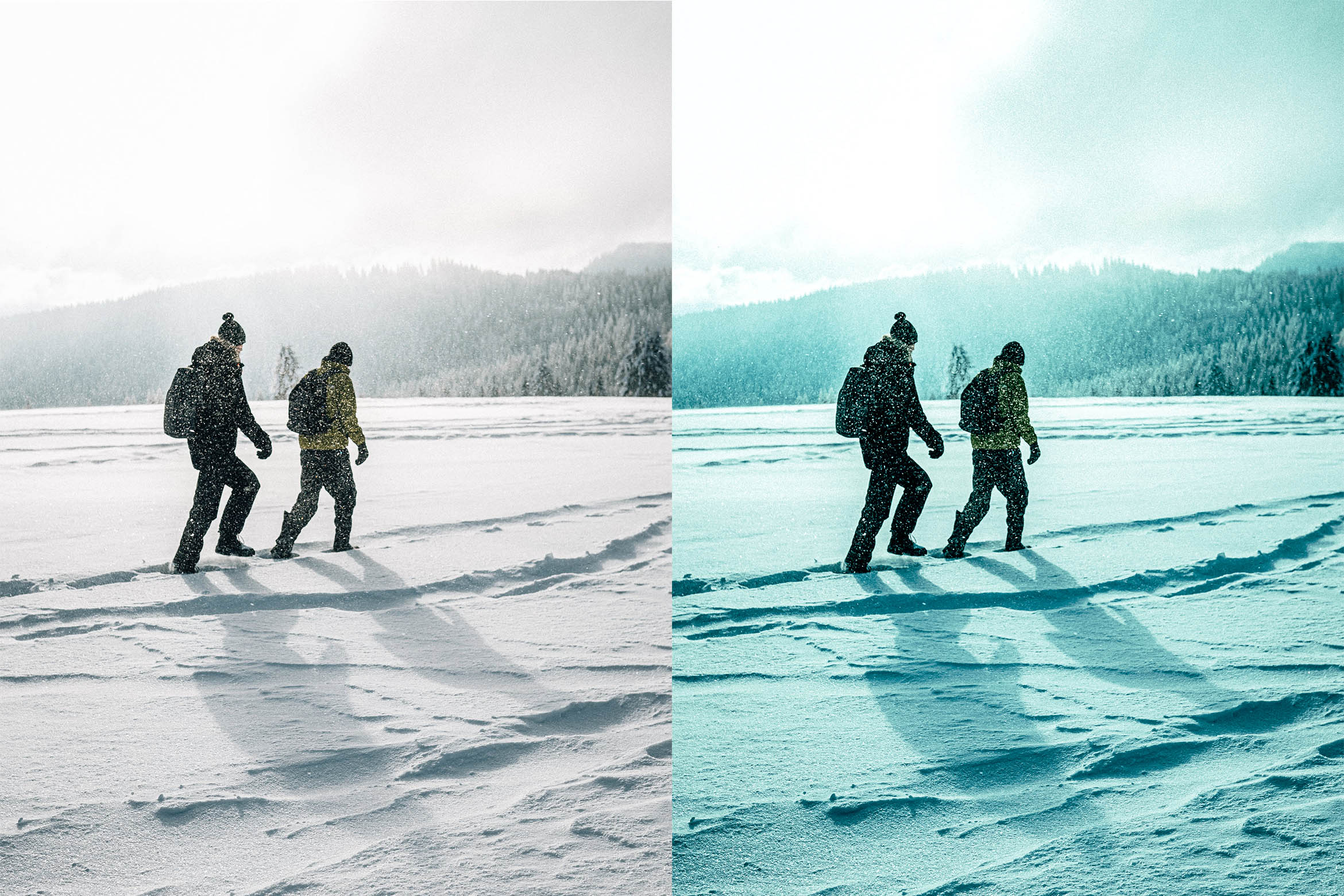Snow & Winter Presets for Lightroom Mobile and Desktop, Add-ons ...