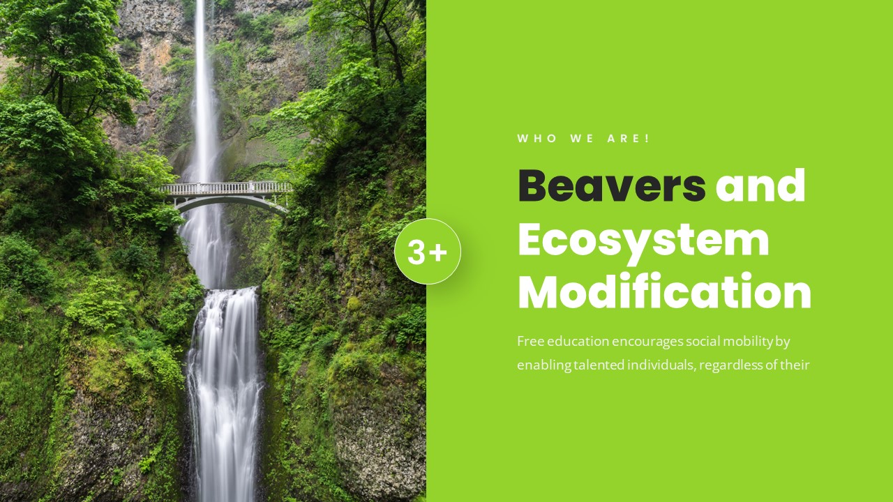 Natural Environment Google Slides Template, Presentation Templates