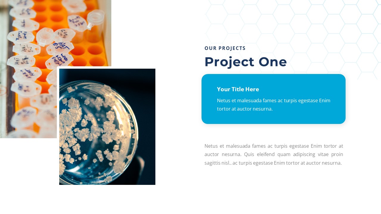 Scienery - Laboratory & Science Research Google Slides Template ...