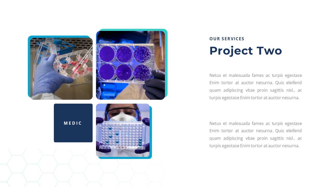 Scienery - Laboratory & Science Research Google Slides Template ...