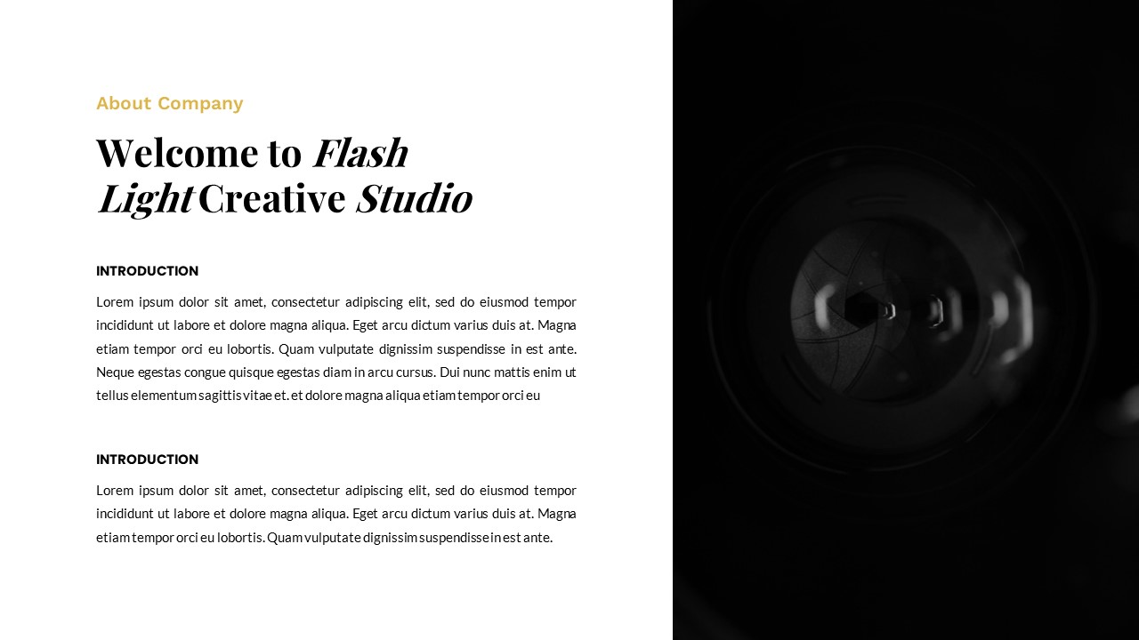 Flash Light – Creative Business PowerPoint Template, Presentation Templates