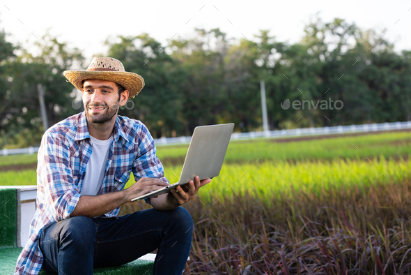 Farmers use computers to collect and analyze data when growing crops in ...