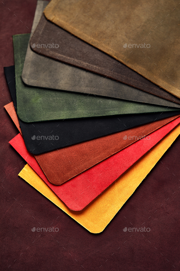 Multi-colored palette of skin samples, palette of different skin tones ...