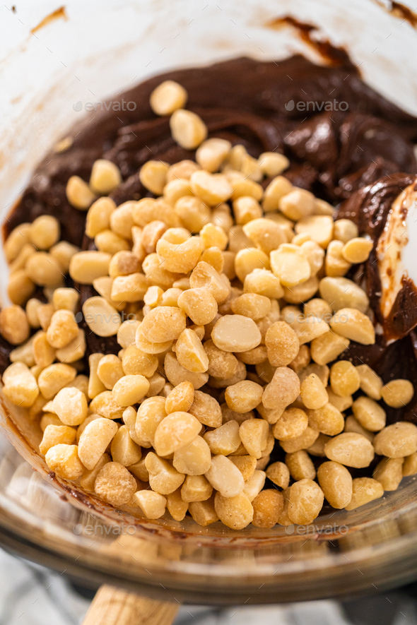 Chocolate macadamia fudge Stock Photo by arina-habich | PhotoDune