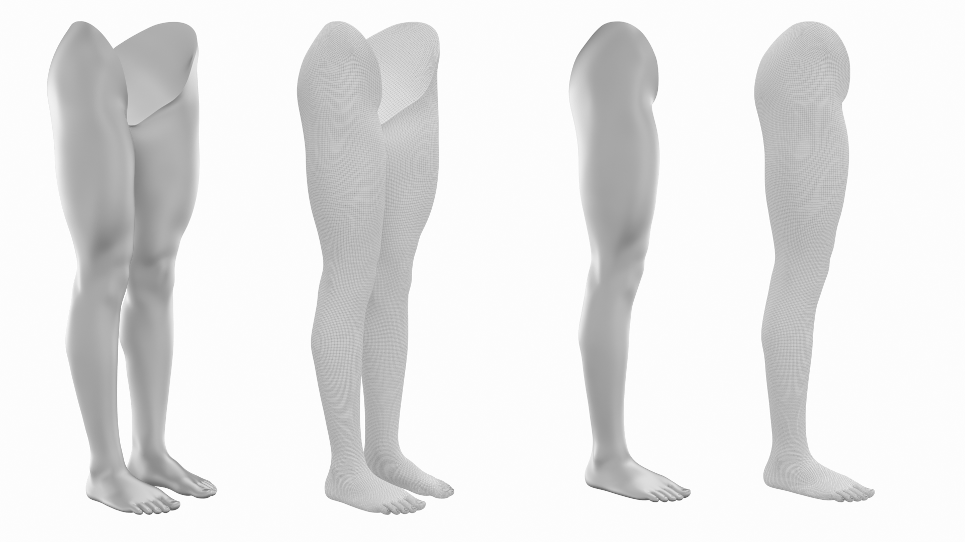 Female Legs Anatomical Base Mesh by valeriik | 3DOcean