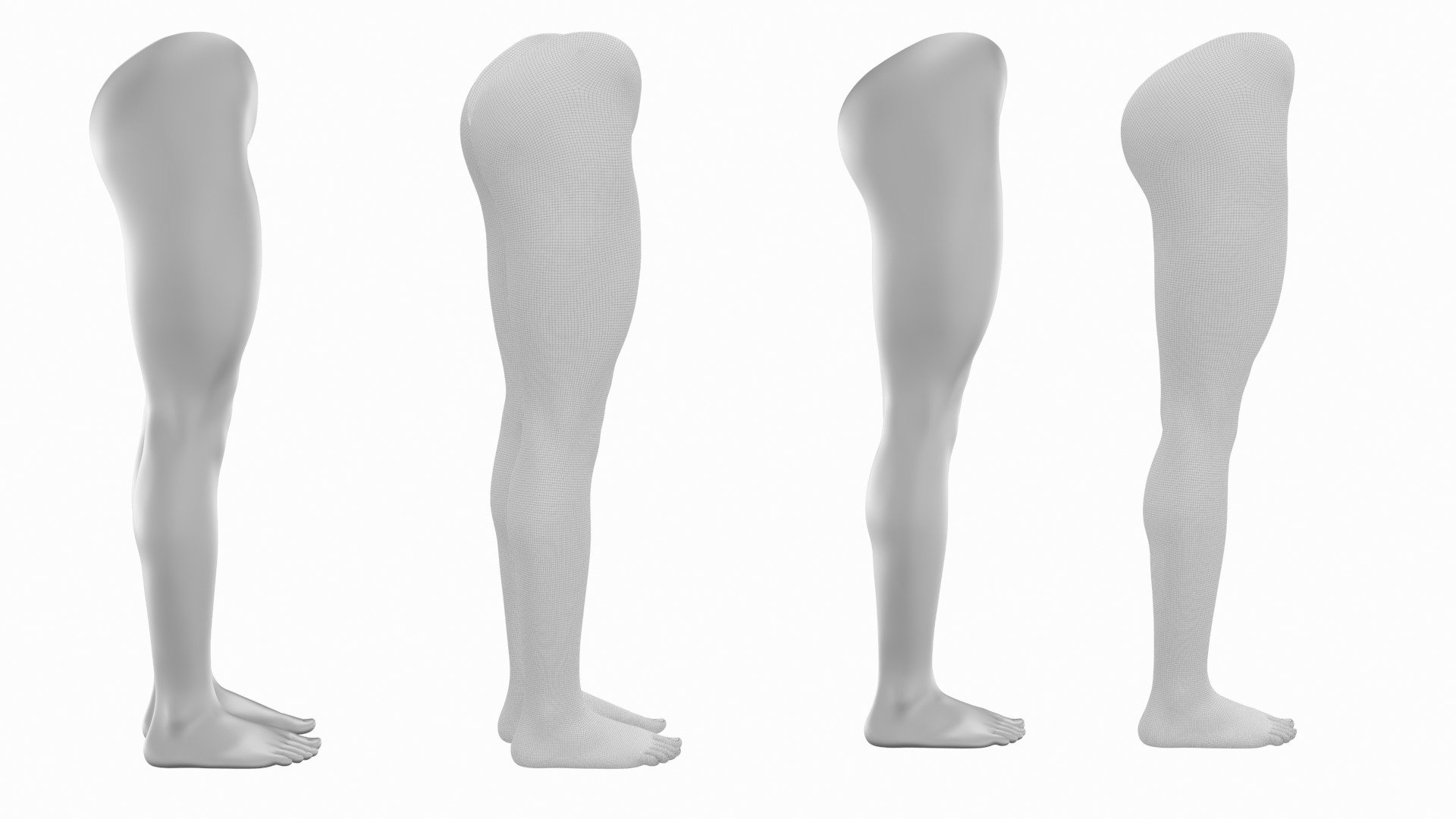 Female Legs Anatomical Base Mesh by valeriik | 3DOcean