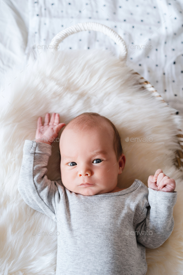 Portrait of 2 weeks old baby. Newborn baby at first months of life ...