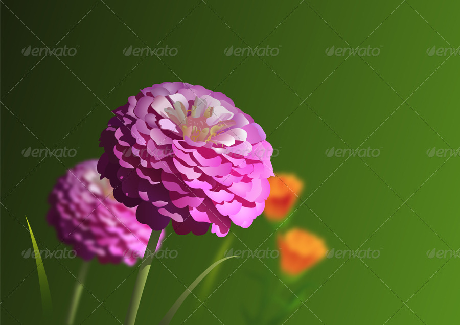 Pink Flower, Vectors | GraphicRiver