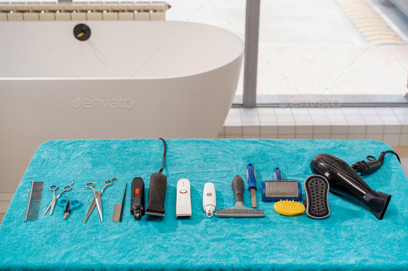 professional tools for grooming in the salon scissors comb trimmer claw ...