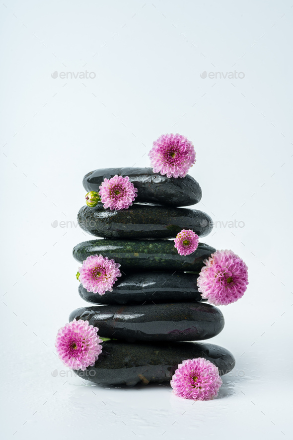 Spa stones and flowers on the white background Stock Photo by FabrikaPhoto
