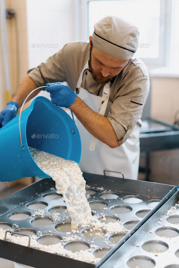 cheese maker pours fresh cheese into molds for making brie cheese craft ...
