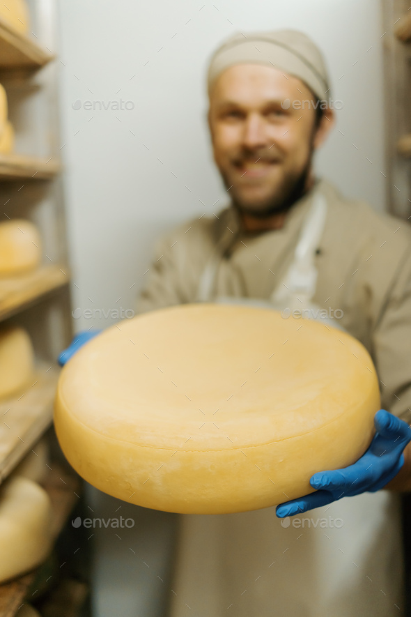 cheese maker cheese production stands in warehouse with wooden shelves ...