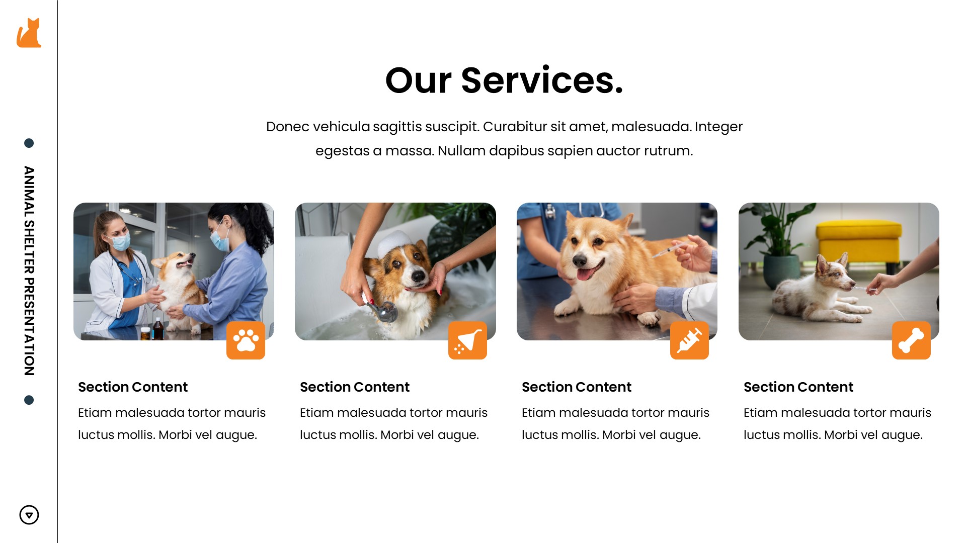 Furever - Pet Care Google Slides Template, Presentation Templates ...
