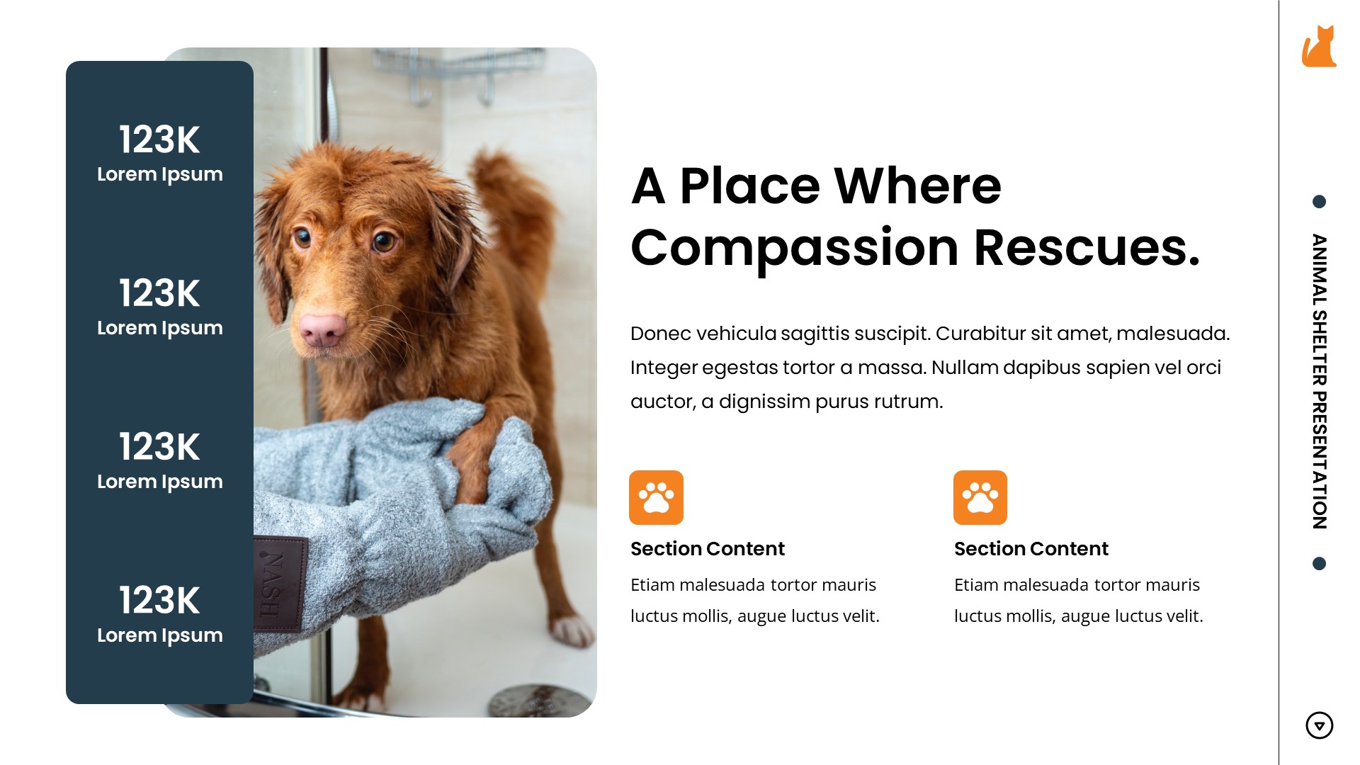 Furever - Pet Care Google Slides Template, Presentation Templates ...