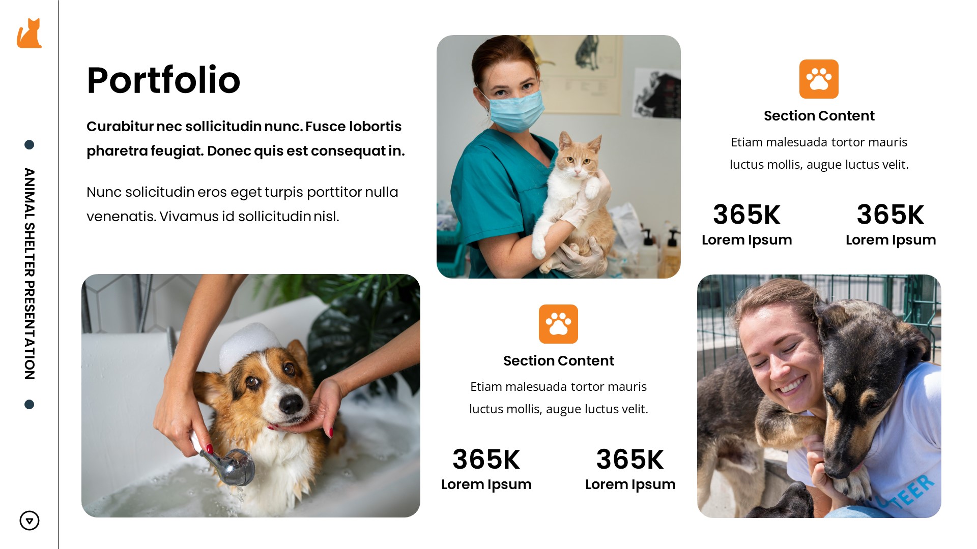 Furever - Pet Care Powerpoint Template, Presentation Templates ...