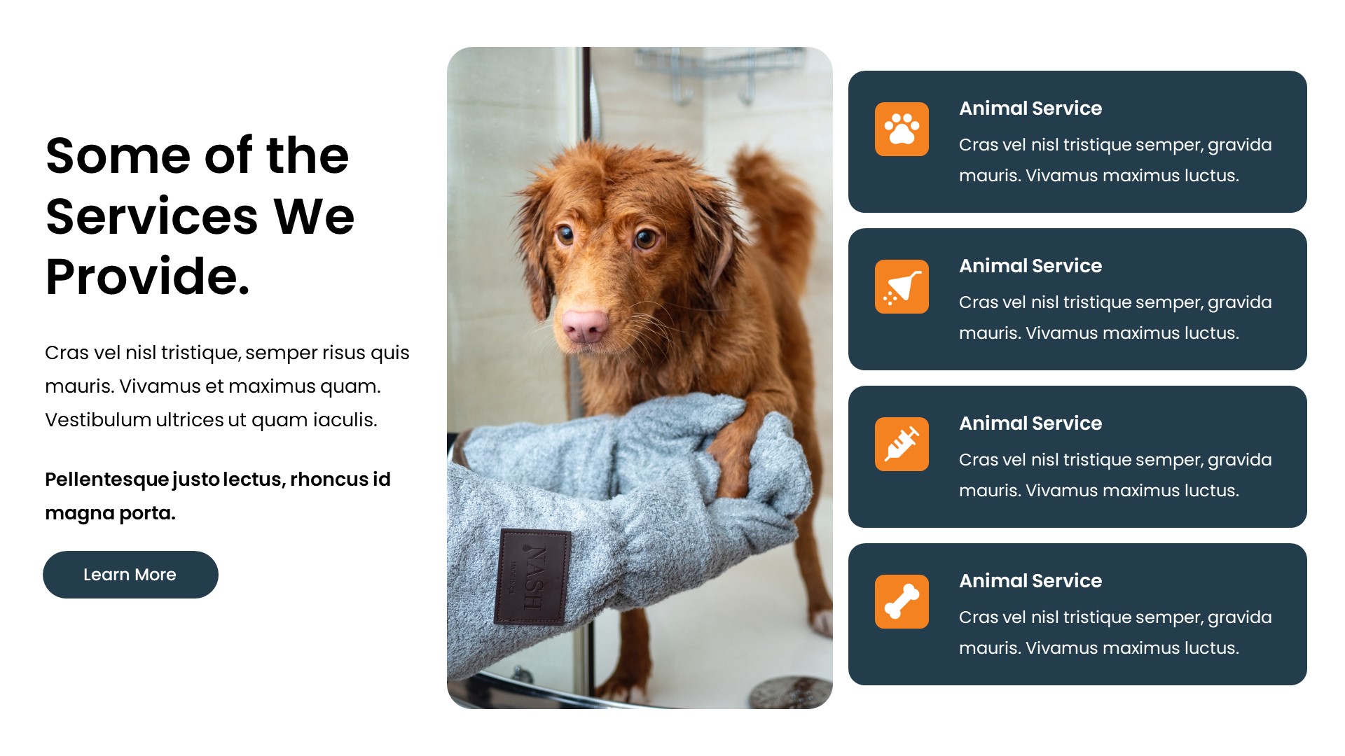 Furever - Pet Care Powerpoint Template, Presentation Templates ...