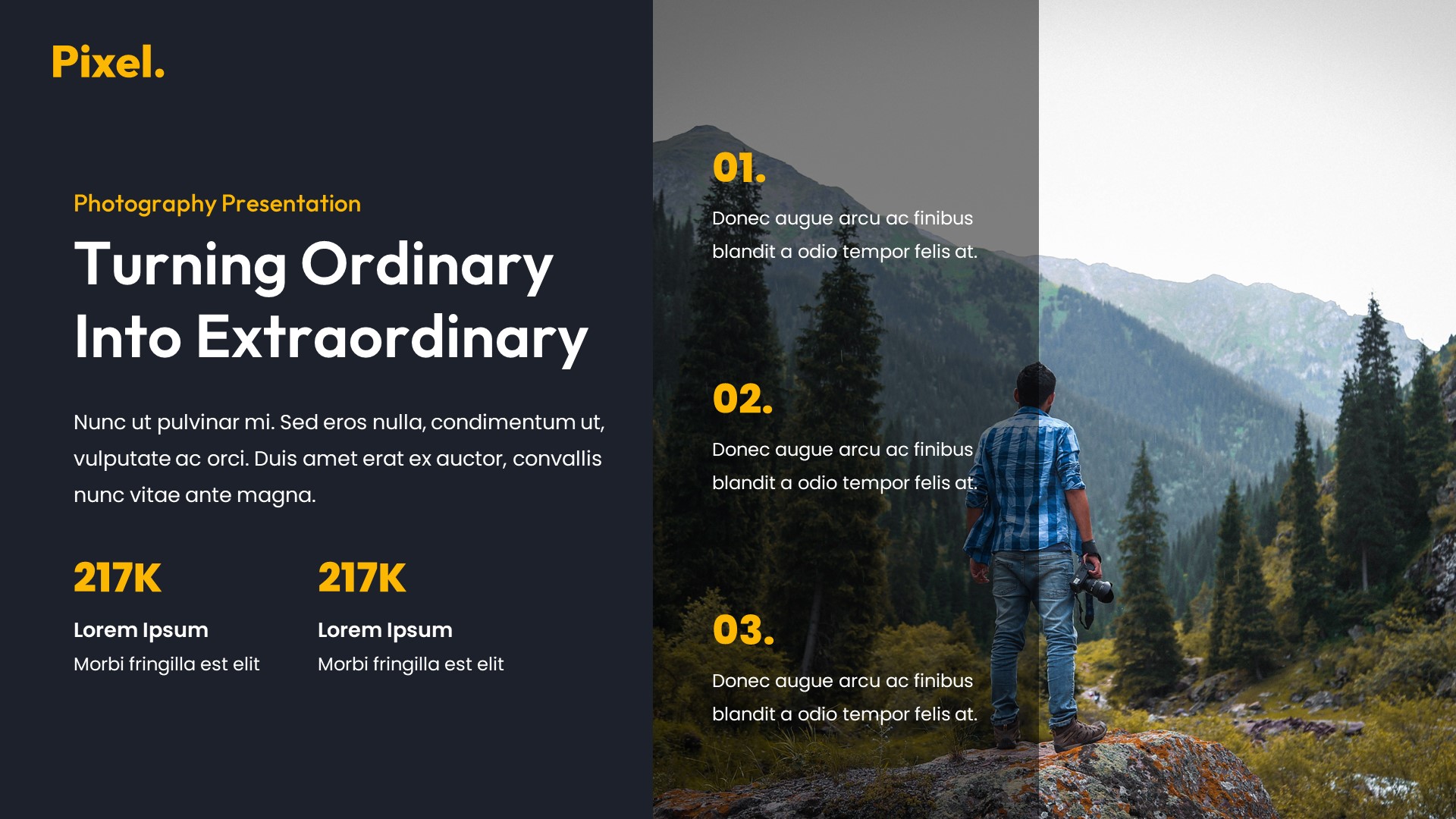 Pixel - Photo Album & Camera Powerpoint Template, Presentation Templates