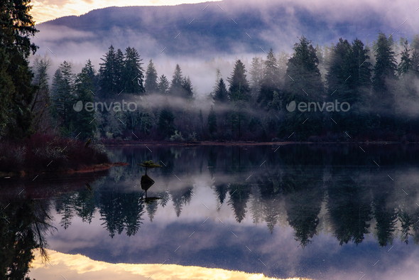 Fog Covered Fairy Lake in Canadian Nature Landscape Background. Stock ...