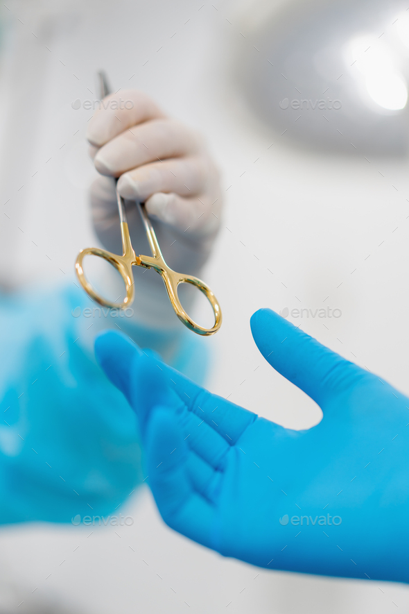 a nurse in a sterile glove hands surgical instruments scissors to a ...
