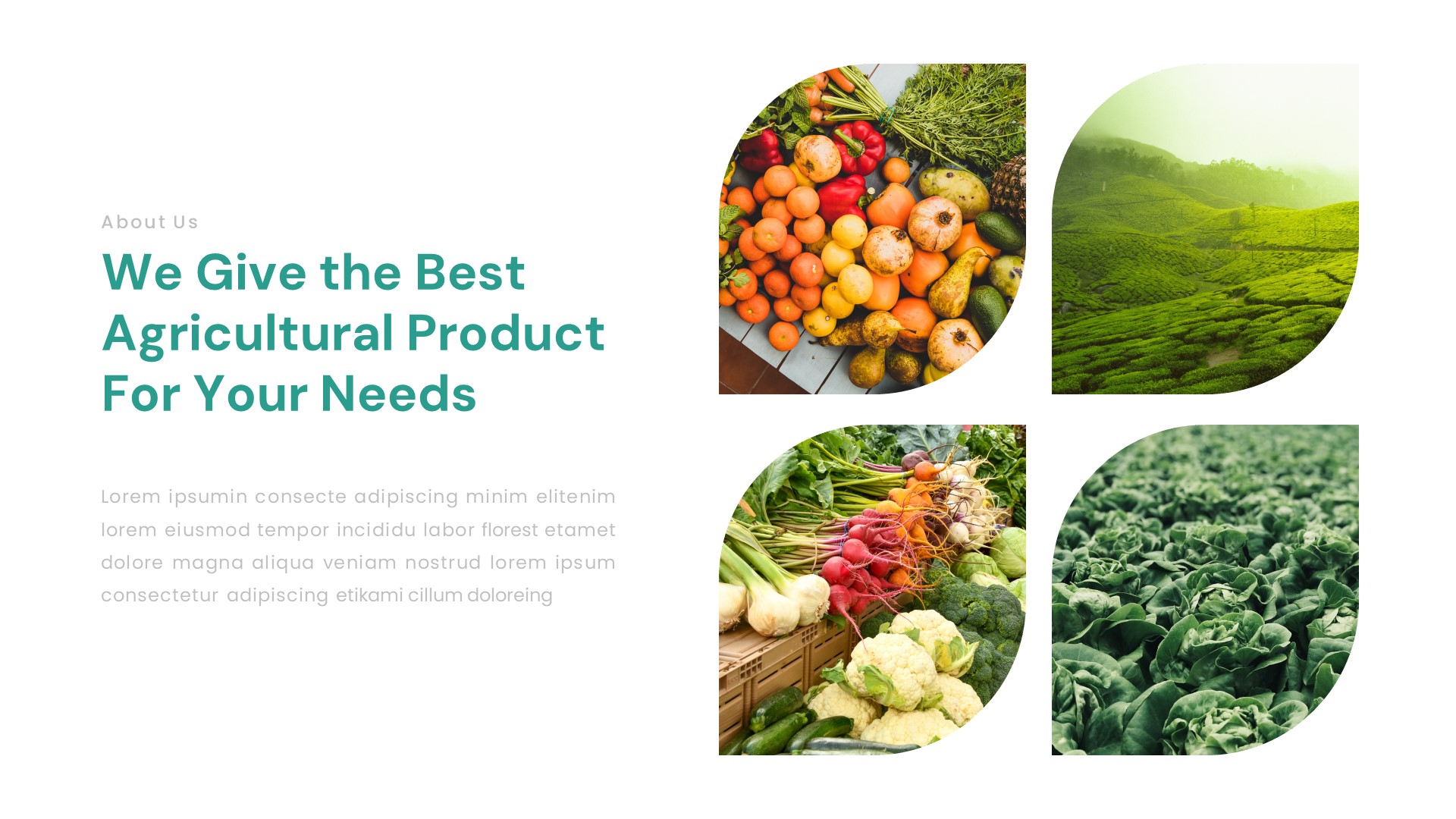 Agrycult – Agriculture PowerPoint Template, Presentation Templates