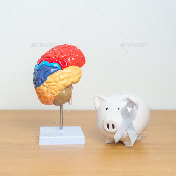 World Brain Tumor day, Brain Stroke, Dementia, alzheimer. Brain model ...