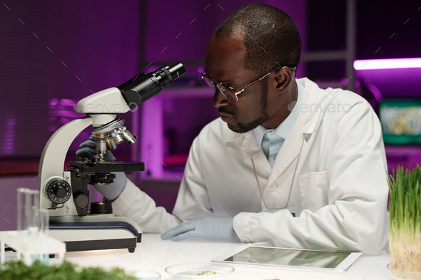Black Biologist Conducting Plant Research Stock Photo by AnnaStills