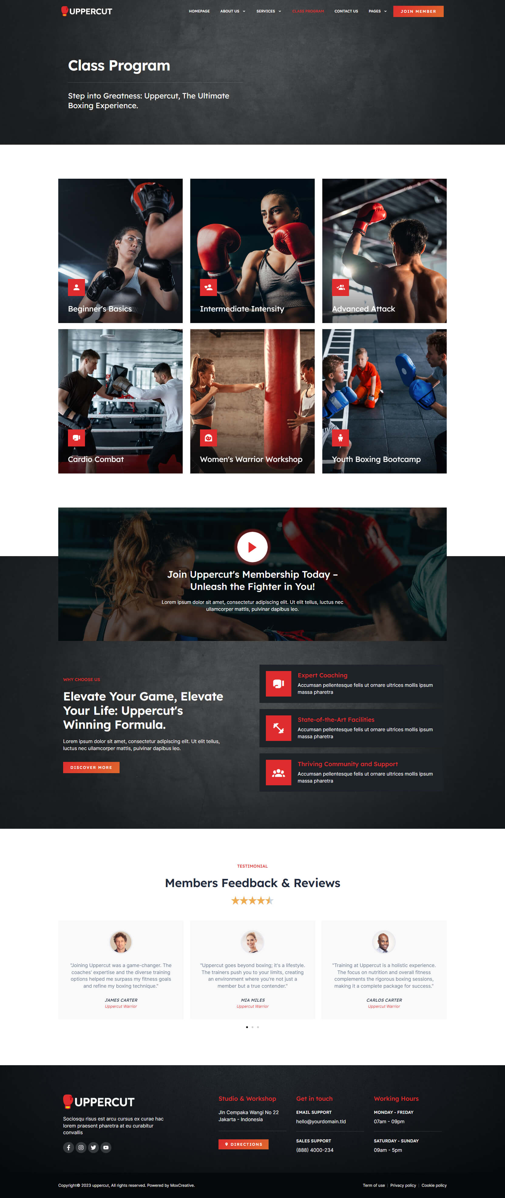 Uppercut - Boxing School & Martial Arts Elementor Pro Template Kit by ...