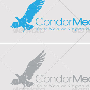 Condor Media Logo, Logo Templates | GraphicRiver