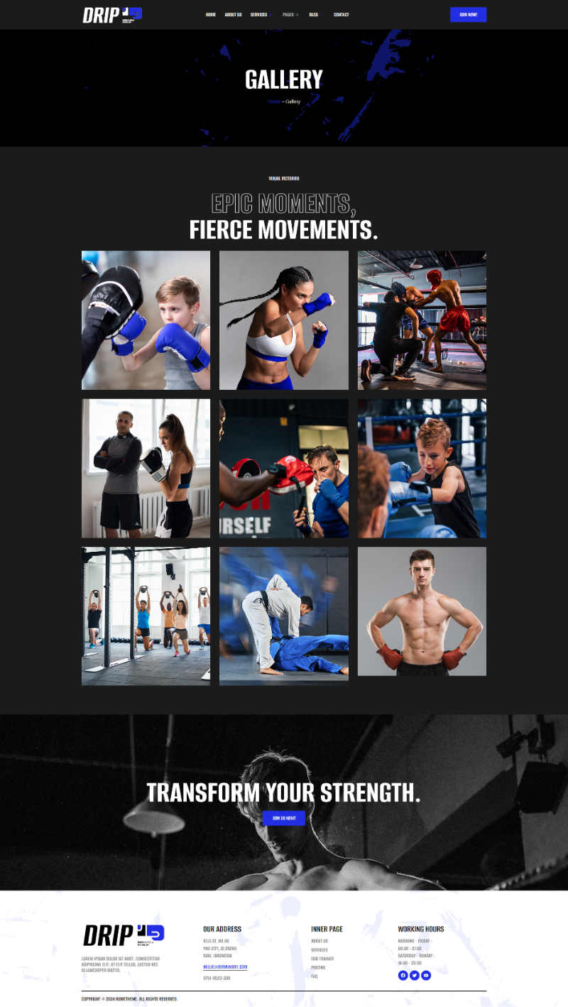 Drip - Boxing School & Martial Arts Elementor Template Kit by Rometheme