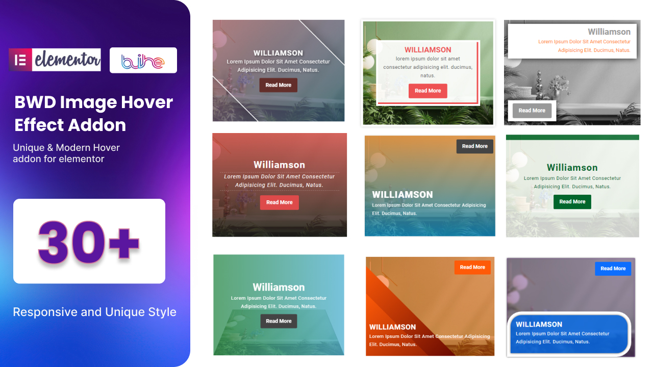 BWD Elementor Addons by BestWpDeveloper | CodeCanyon