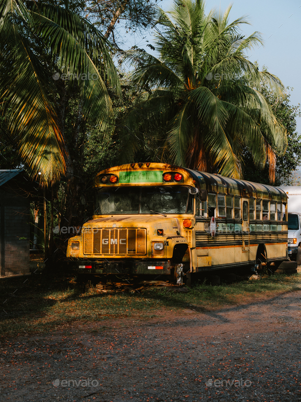 Yellow bus in a sunny outdoor location, with trees in the background in ...